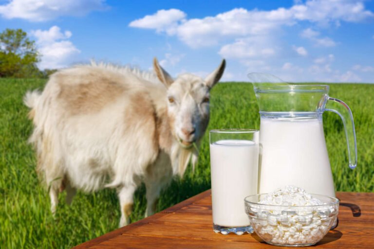 Les bienfaits du lait de chèvre en cosmétique pour la santé de la peau ...